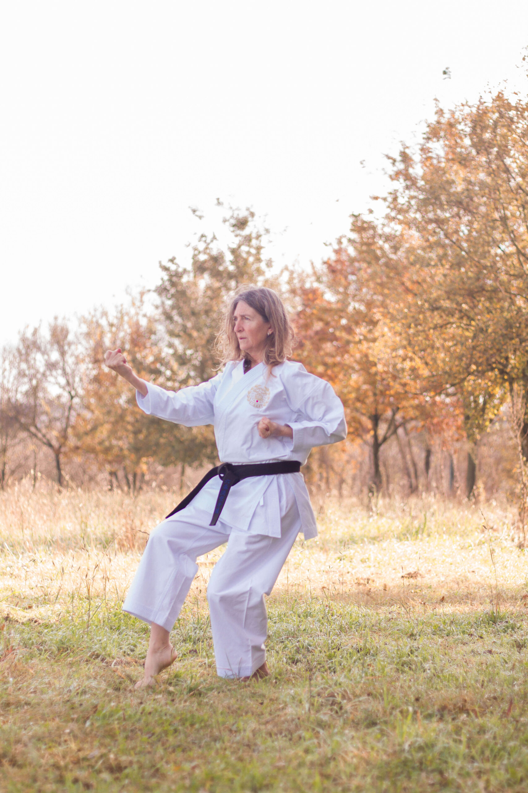El karate que practiquem - Shingi Tai Karate Dojo